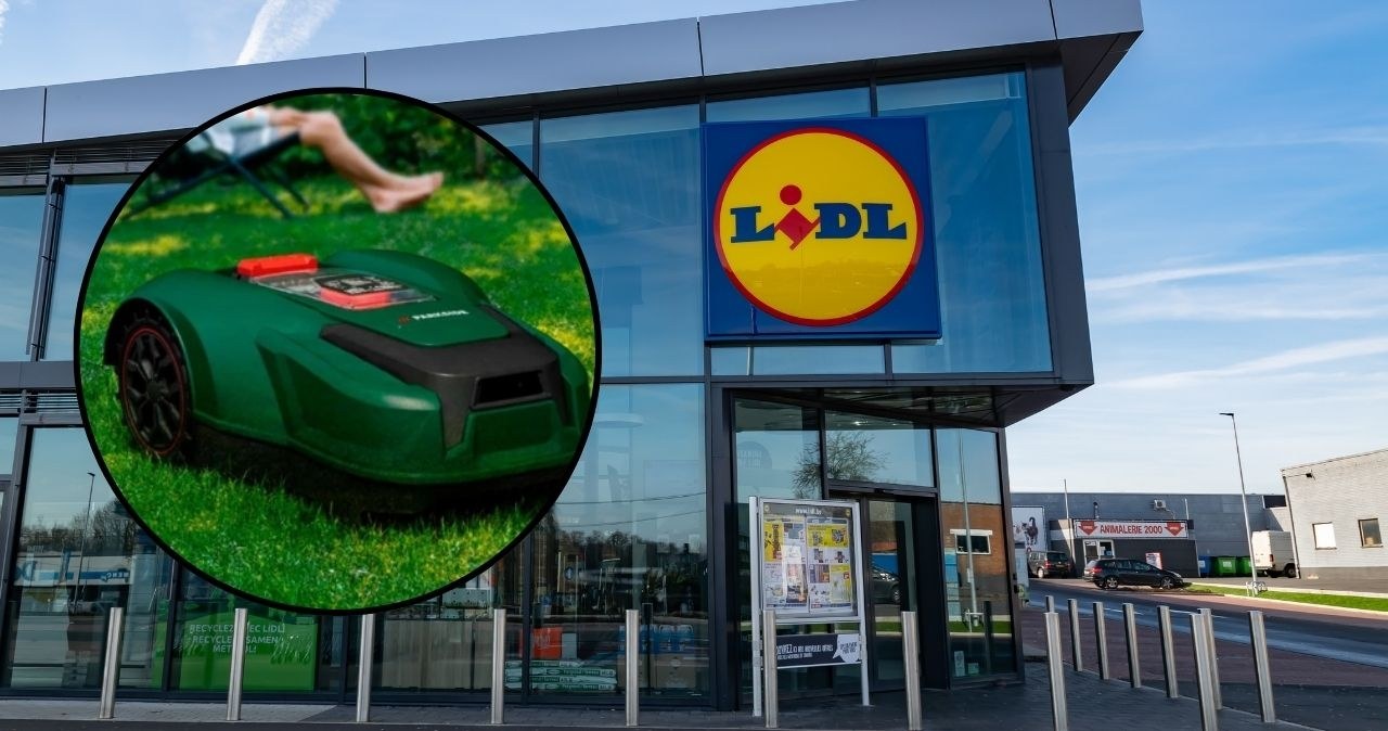 Masz dość koszenia trawy? Ten robot zrobi to za ciebie! Lidl obniżył jego cenę o 400 zł ...
