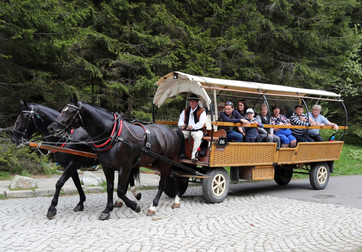 Nowy starosta: Nie będzie zakazu dla konnych zaprzęgów na trasie do Morskiego Oka - RMF 24