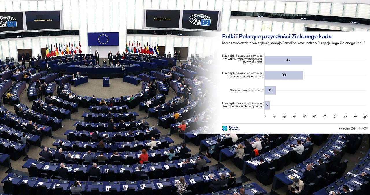 Europejski Zielony Ład. Polacy ocenili sztandarowy program UE ...