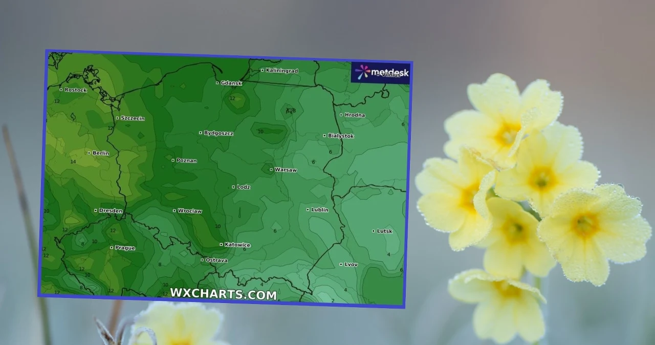 Pogoda. Przymrozki nie powiedziały ostatniego słowa. Są alerty - Wydarzenia w INTERIA.PL