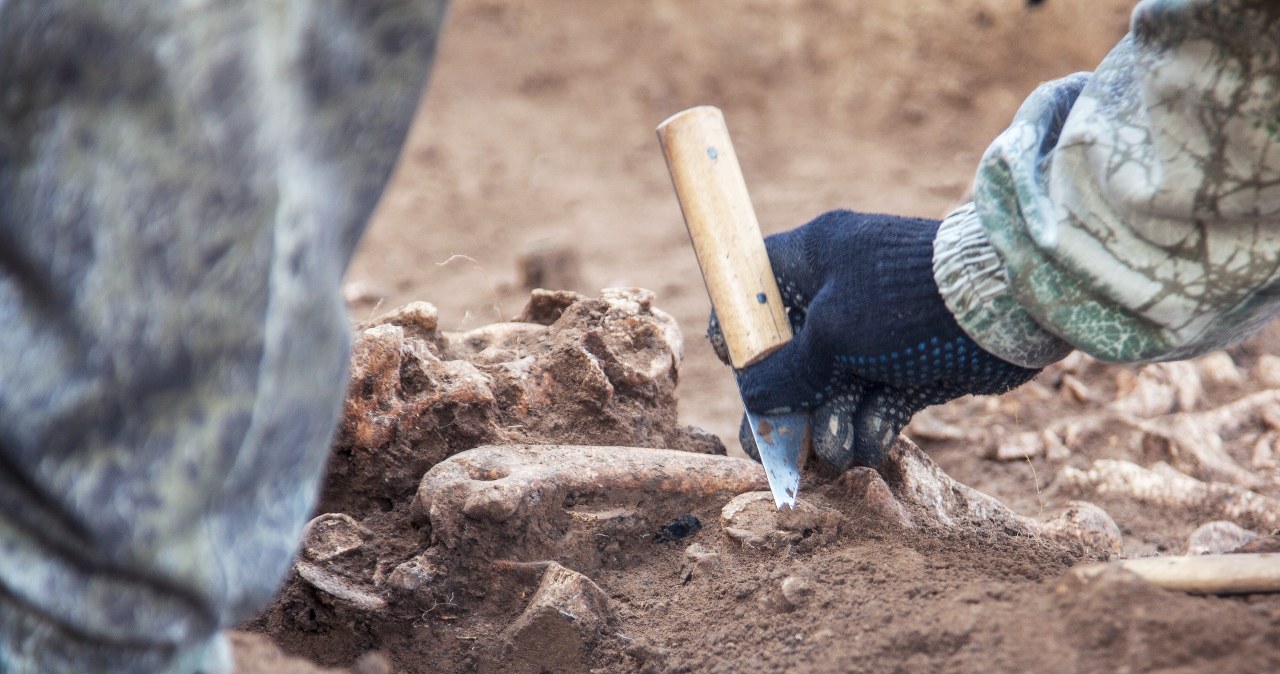 W Kazachstanie odkryto tajemniczy kurhan. Był pełny artefaktów ...