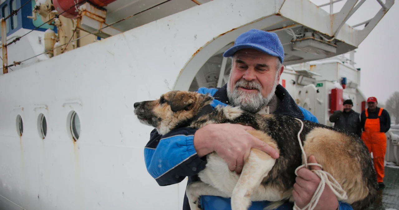 Gdynia. Pies Baltica zostanie uhonorowany pomnikiem - Wydarzenia w ...