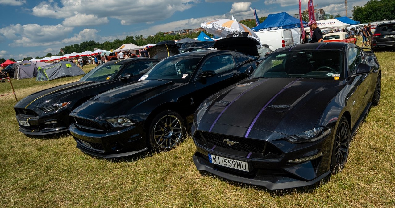American Cars Mania 2024. Polacy kochają amerykańskie auta ...
