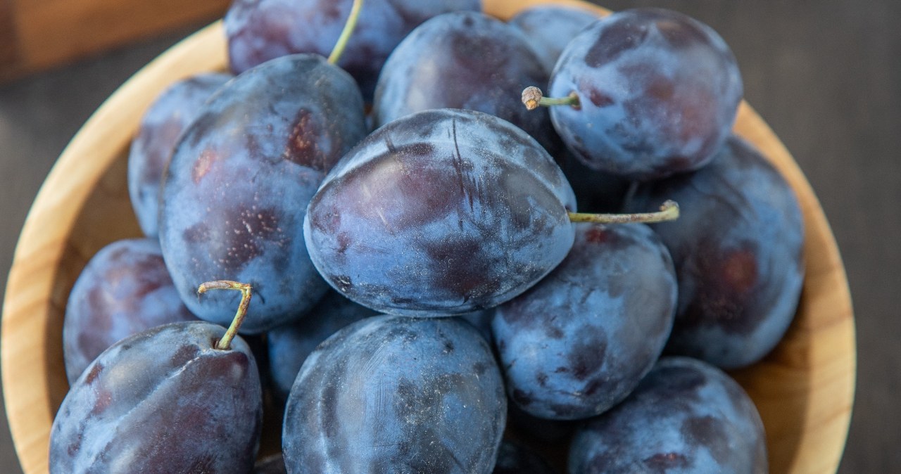 Co jest lepsze: świeża czy suszona węgierka? - TerazGotuje.pl