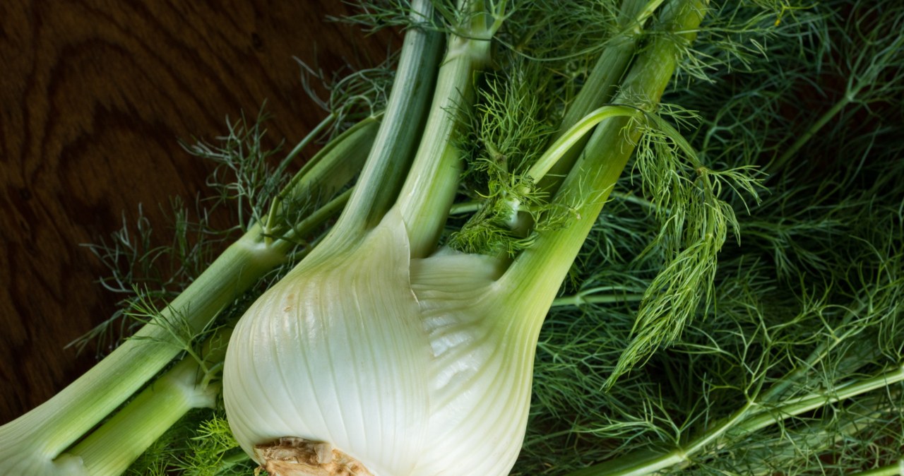 Fenkuł, czyli koper włoski - zdrowotne właściwości i przepis na sałatkę ...