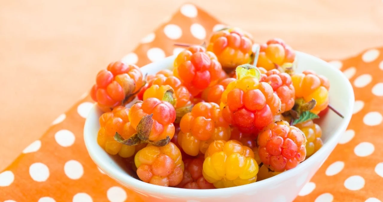 Malina moroszka - co to za roślina, właściwości zdrowotne. Jak wygląda ...