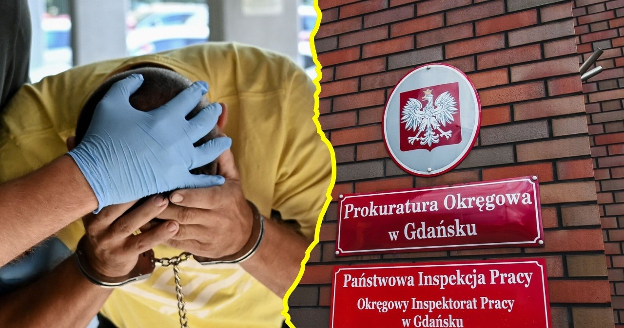 Zabójstwo w Gdańsku. Emil R. usłyszał zarzuty i został tymczasowo ...