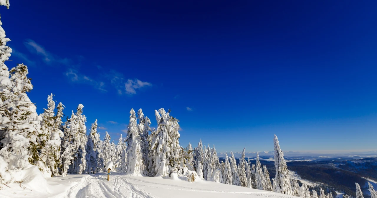 Jaka będzie zima 2024/2025? Górale z Beskidu Żywieckiego znają ...