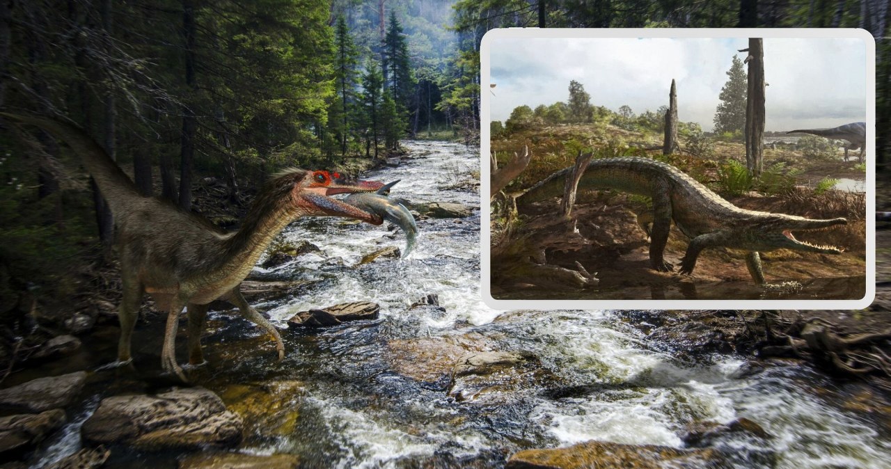 W Brazylii odkryto zwierzę podobne do krokodyla. Długi nos i długie ...