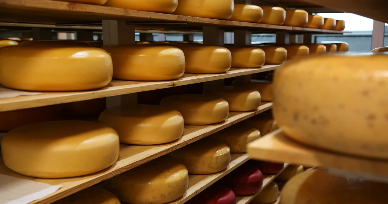 Polski ser zdobywa złoto i podbija rynek. Manufaktura w centrum uwagi ...