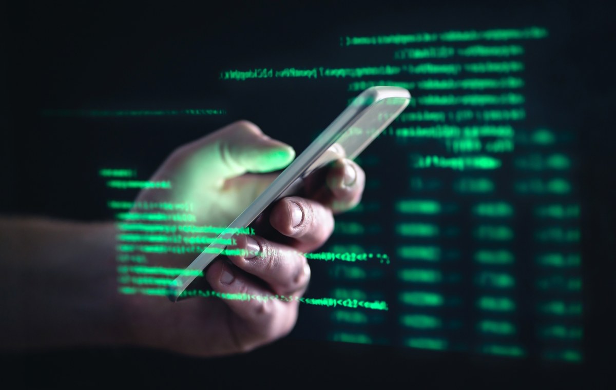 Piramida finansowa FutureNet. Kolejne zatrzymania - RMF 24