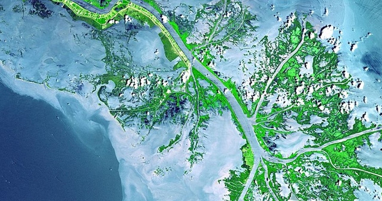 Działalność człowieka może zniszczyć deltę Missisipi - GeekWeek w ...