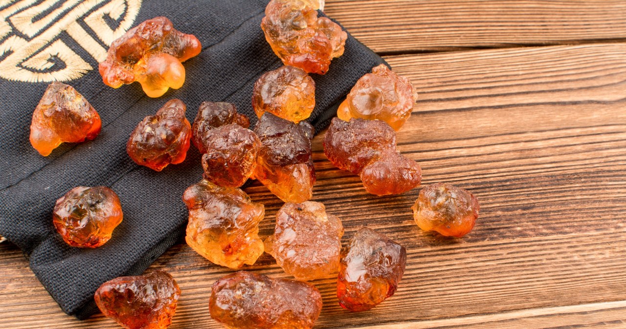 Guma brzoskwiniowa - nietypowa żywica ma właściwości prozdrowotne - hub.pl