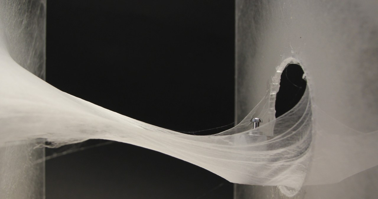 Przełomowy robot. Tka konstrukcje jak pająk sieci - GeekWeek w INTERIA.PL