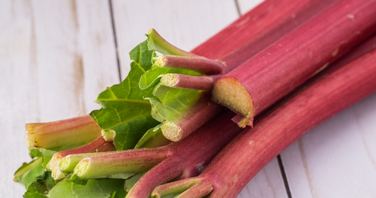 Kiedy zaczyna się sezon na rabarbar? Nie przegap, później będzie ...