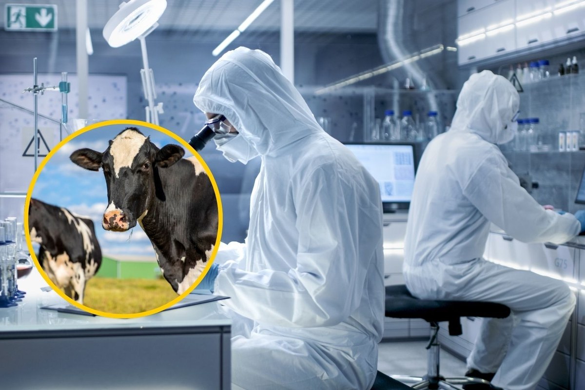 Stan klęski żywiołowej w Bośni i Hercegowinie. W kraju pojawiła się ...