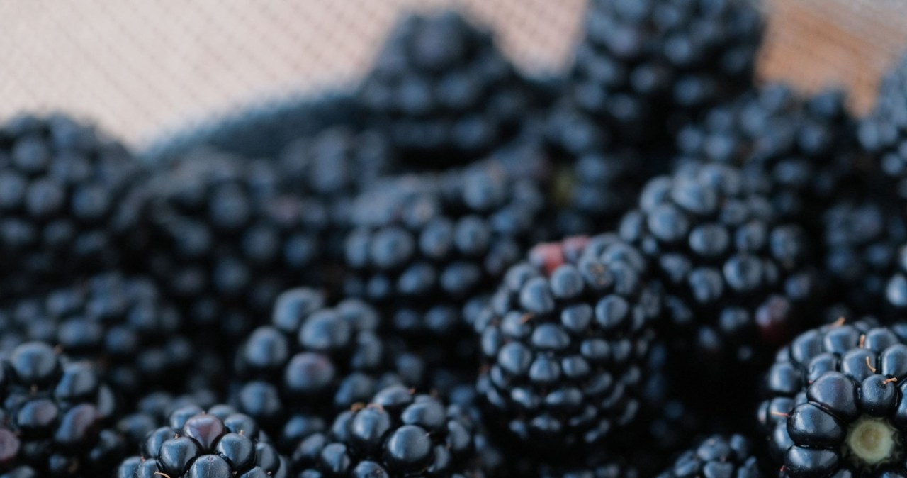 Co zrobić z jeżyn? - TerazGotuje.pl