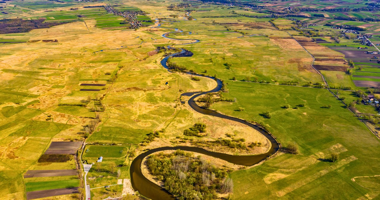 Nida - rzeka stu zakrętów. Jest najcieplejszą rzeką w Polsce - hub.pl