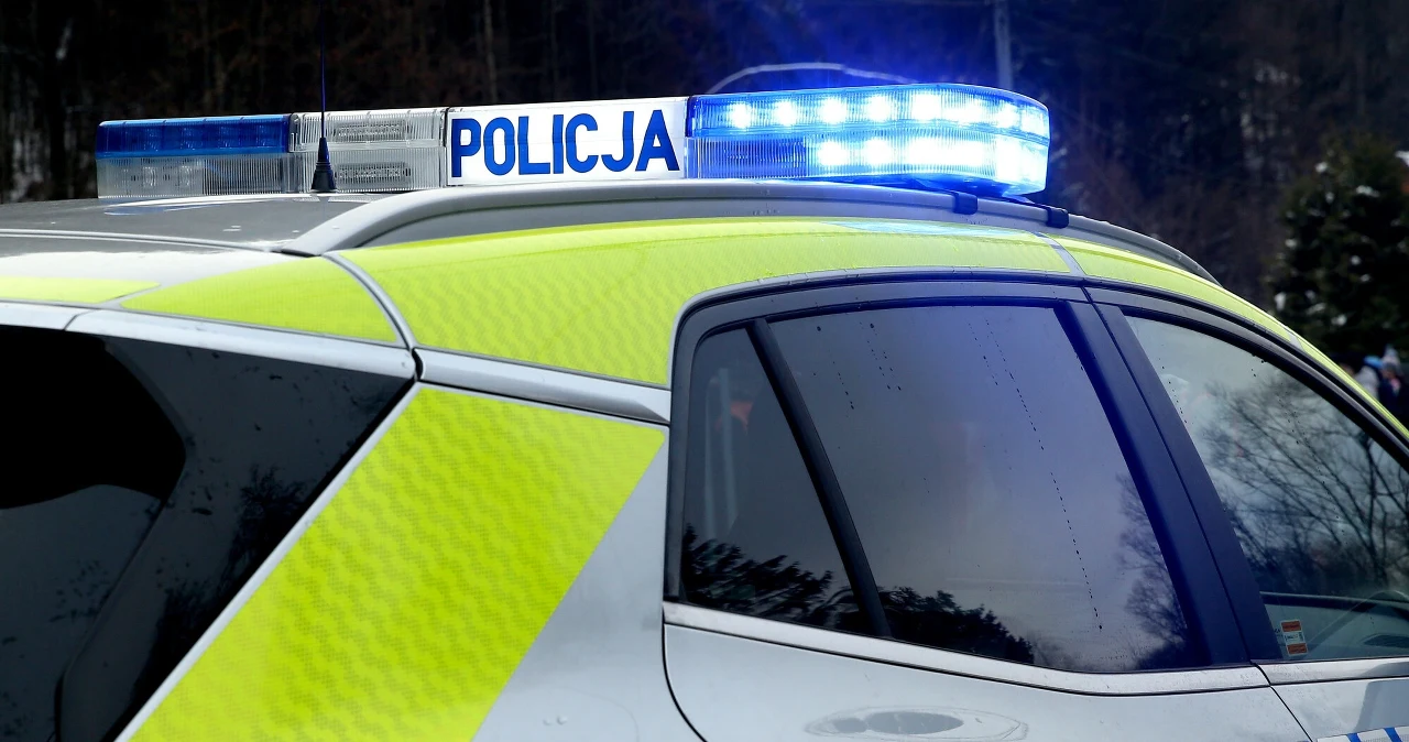 Gliwice. Dwie doby poszukiwań. 11-latek odnaleziony - Wydarzenia w INTERIA.PL