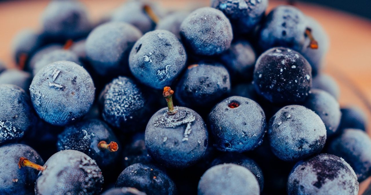 Co zrobić z owoców tarniny? - TerazGotuje.pl