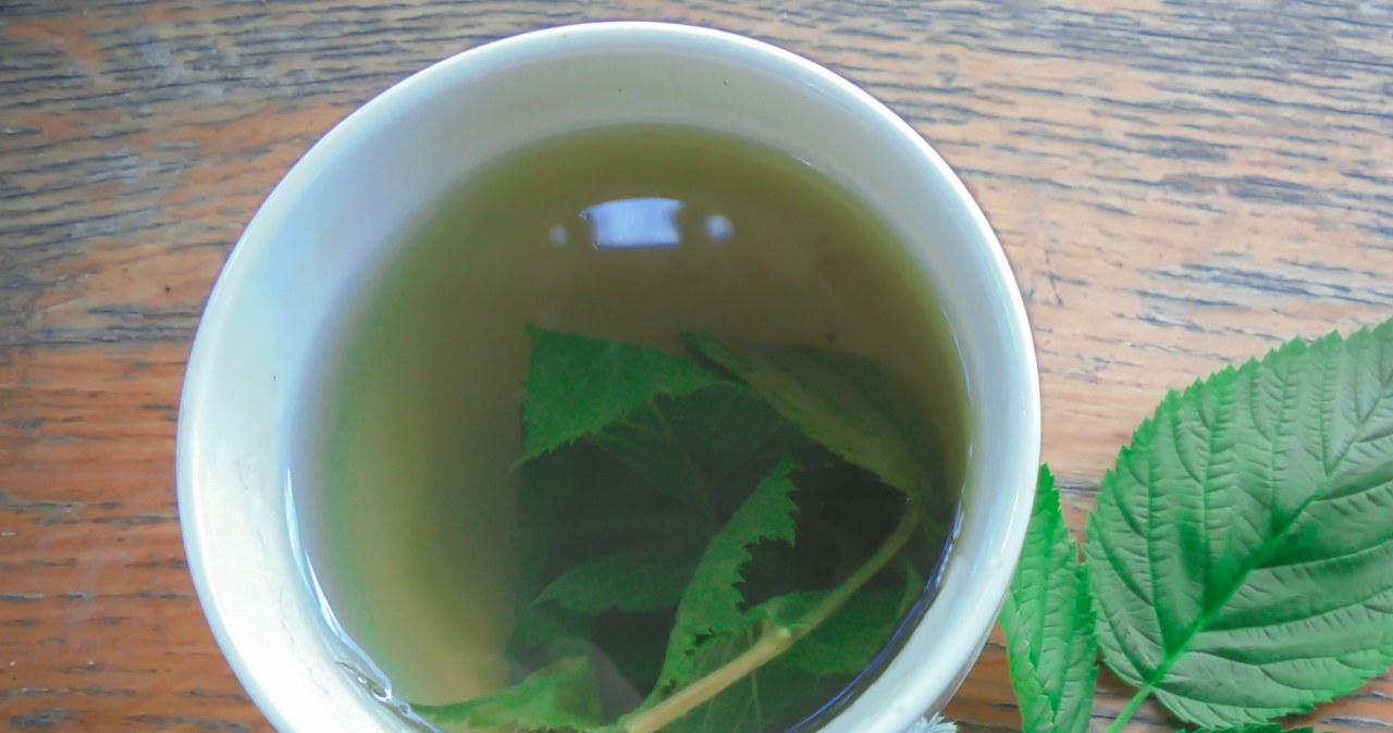 Herbata z liści malin – na co pomaga? - TerazGotuje.pl