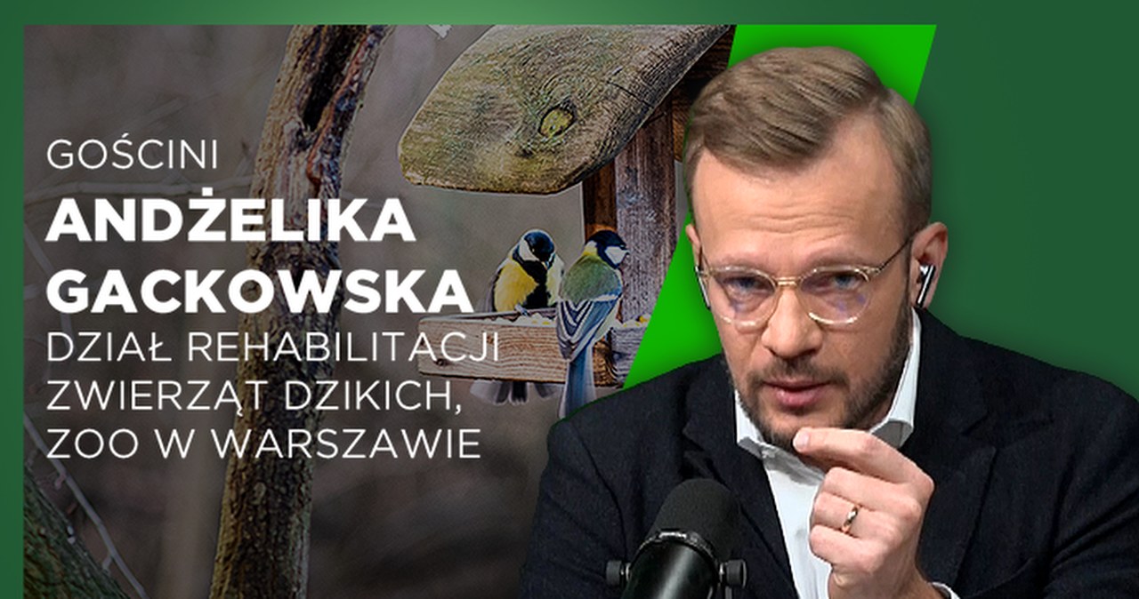 Karmimy ptaki na potęgę. Oswajamy je, ale zapominamy o ważniejszej ...