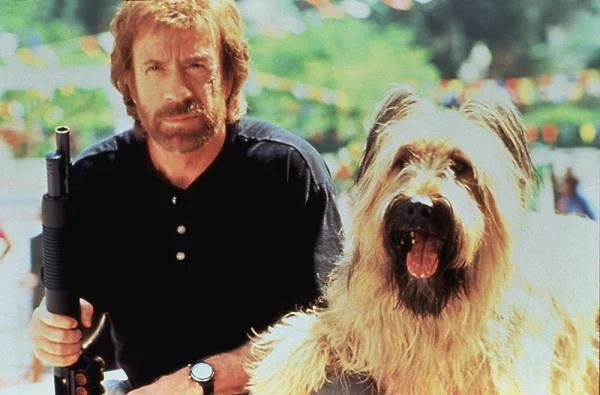 Chuck Norris kończy karierę. Musi poświęcić się opiece nad ciężko chorą ...