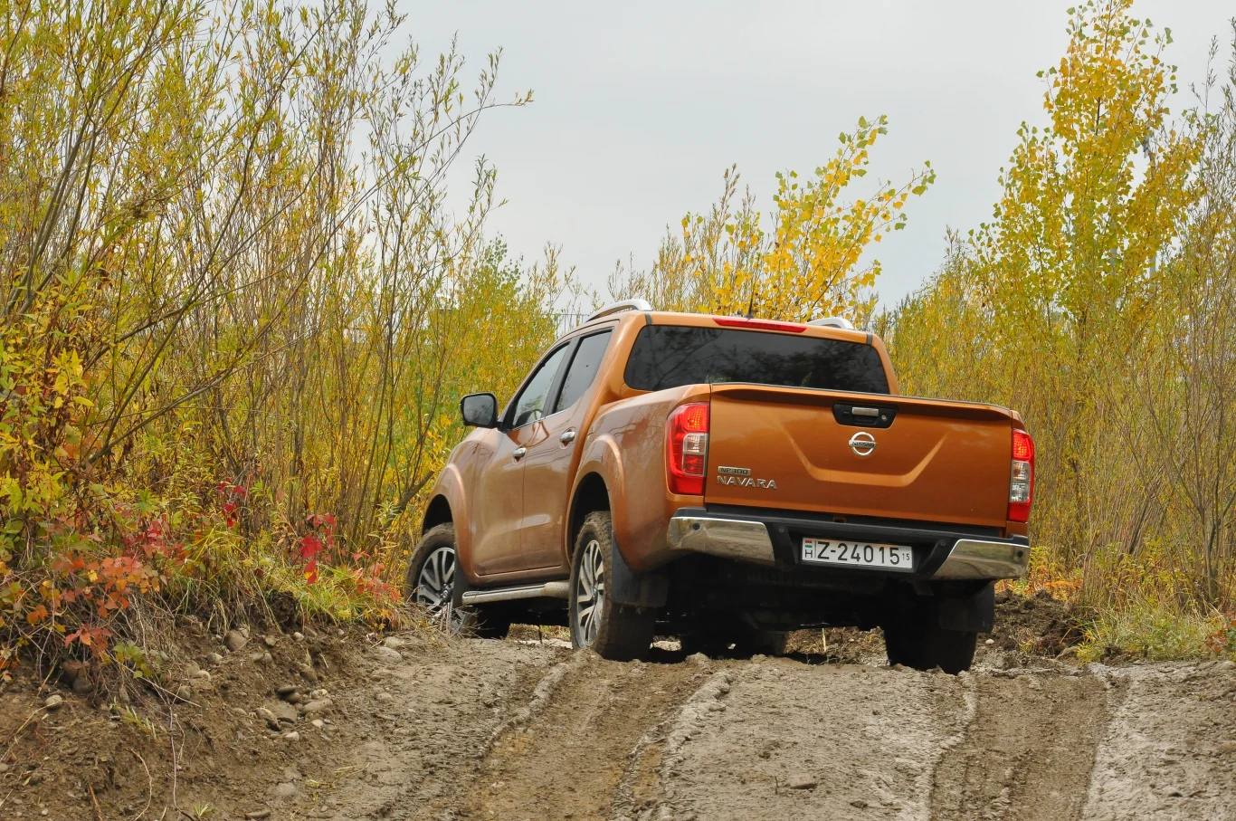 Nissan NP300 Navara - Motoryzacja w INTERIA.PL