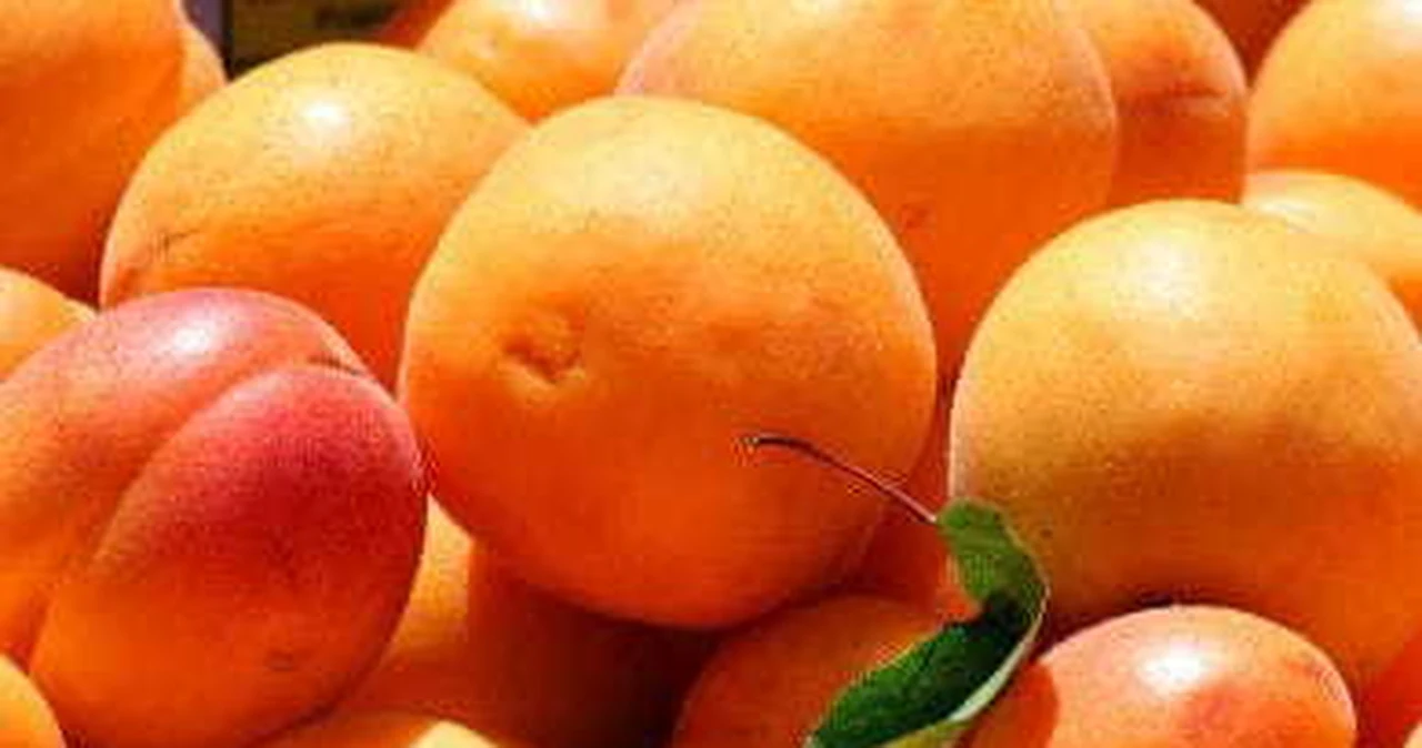 Morele - właściwości zdrowotne i odżywcze - Ding.pl