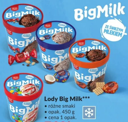 Lody Big Milk - promocja Makro Cash&Carry - Ding.pl