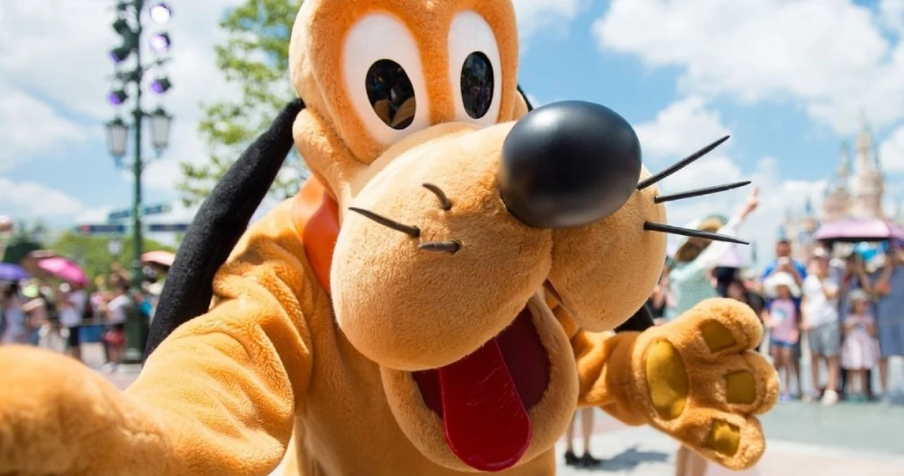 Action też ma Maskotki Disney. Kosztują niecałe 36 zł! - Ding.pl