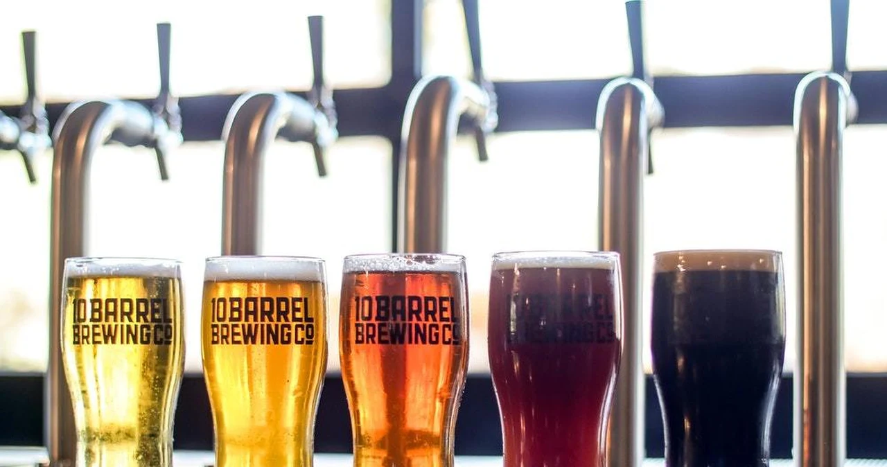 Rodzaje piwa: podział, nazwy, smak, właściwości - Ding.pl