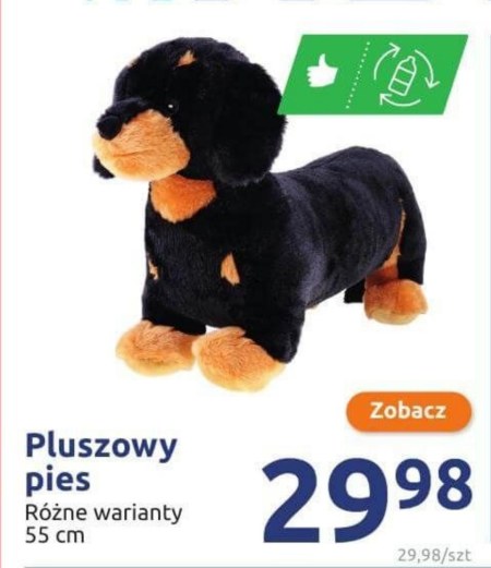 Maskotka - promocja Action - Ding.pl