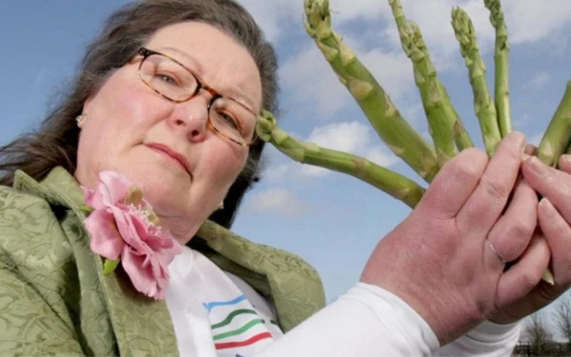 Przepowiednia brytyjskiej wizjonerki. Co zobaczyła Jemima Packington ...