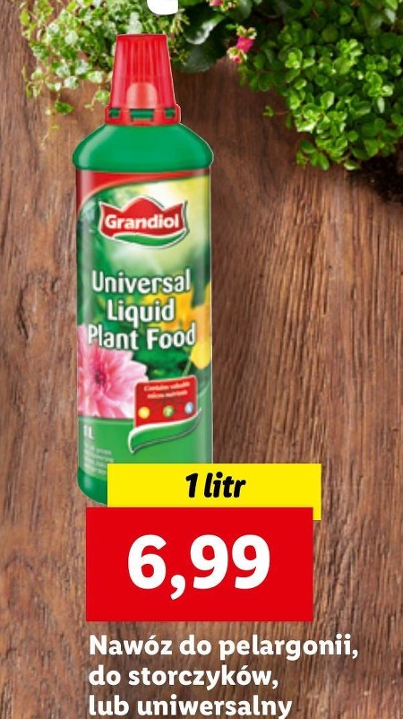 Nawóz Grandiol - promocja Lidl - Ding.pl