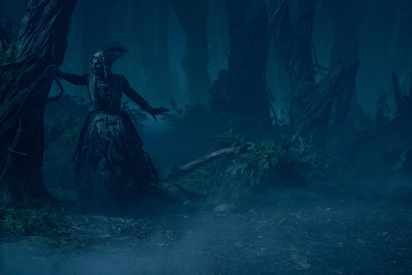 "Gabinet osobliwości Guillermo del Toro": Nowa serialowa antologia na ...