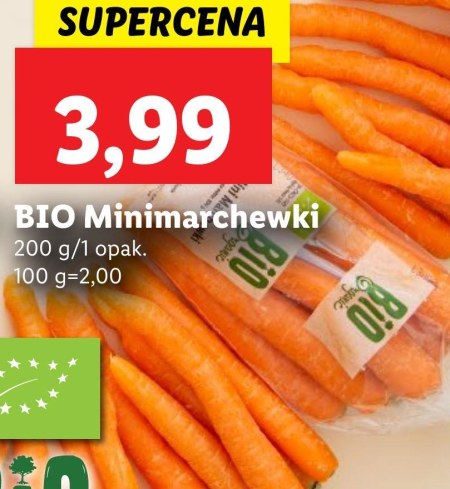 Marchewka - promocja Lidl - Ding.pl