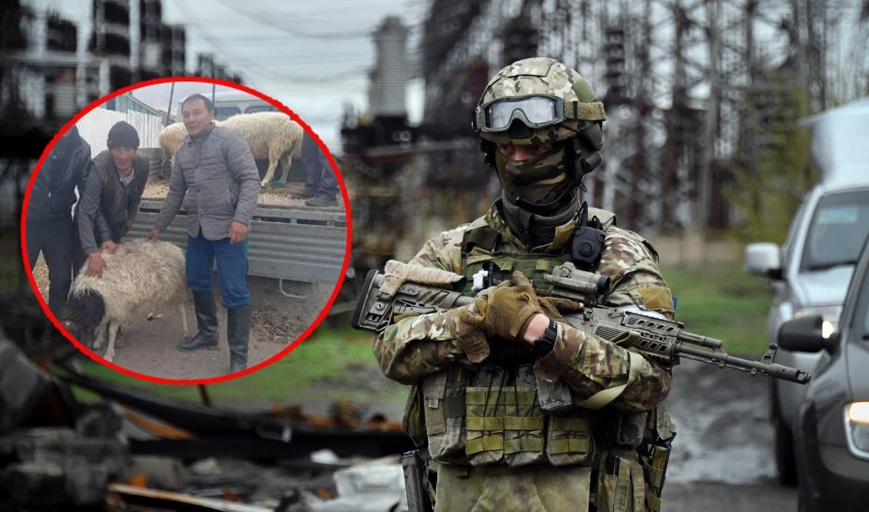 Rosja: Mobilizują żołnierzy. Tuwa rozdaje żywe barany - Wydarzenia w ...