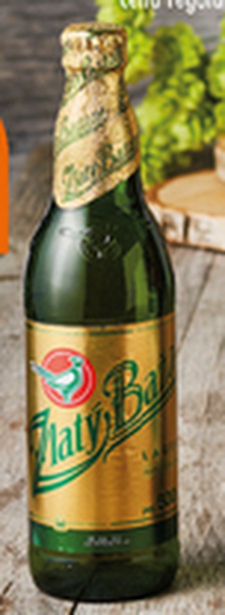 Piwo Złoty bażant - 11% TANIEJ! - promocja Biedronka - Ding.pl