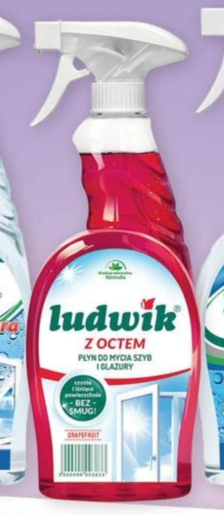 Ludwik z octem Grapefruit Płyn do mycia szyb i glazury 750 ml ...
