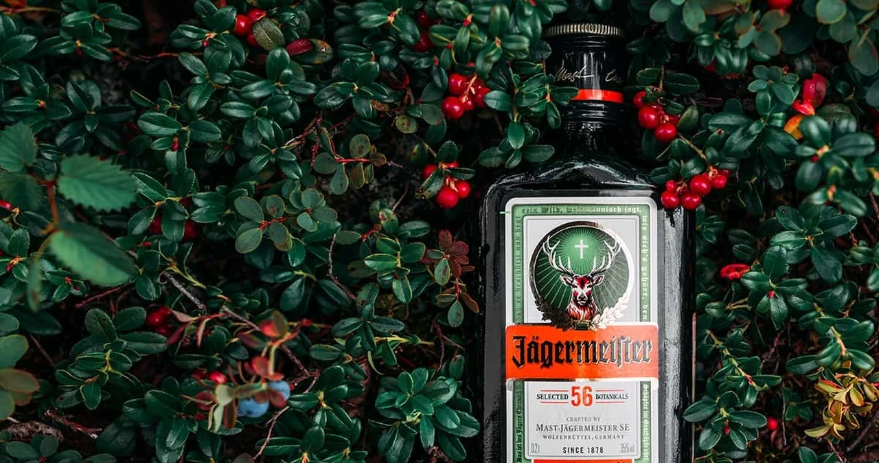 Jager, z czym go pić? Podróż po świecie wyrafinowanych smaków - Ding.pl