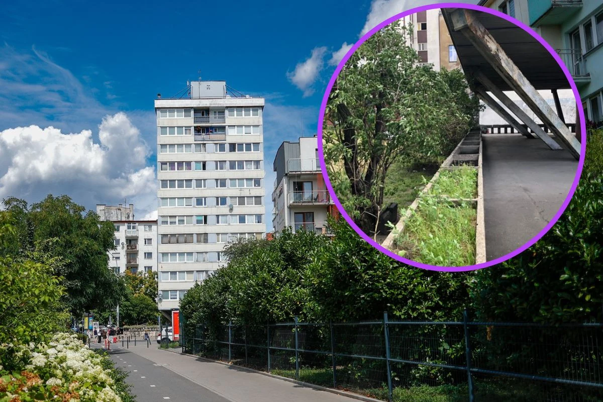 Historia Trzonolinowca we Wrocławiu. Jaka przyszłość go czeka? - Styl w ...