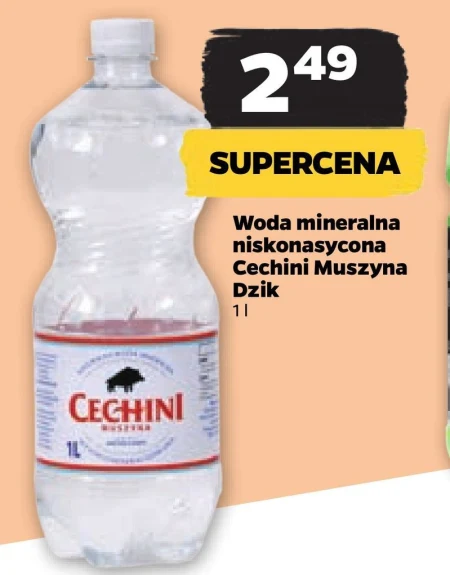 Cechini Muszyna Naturalna woda mineralna wysokozmineralizowana ...
