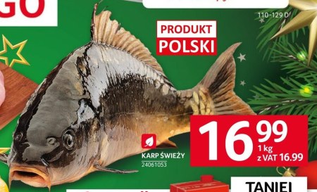 Karp - promocja Selgros Cash&Carry - Ding.pl