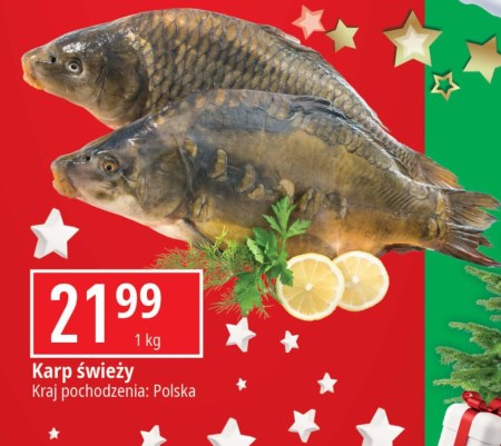 Karp - promocja E.Leclerc - Ding.pl