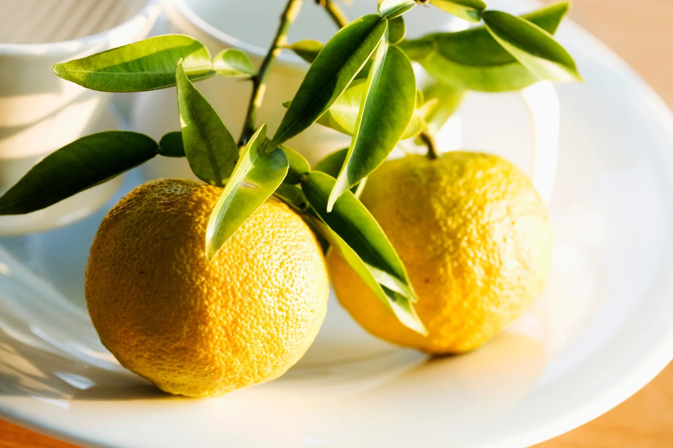 Yuzu - co to za owoc? Właściwości yuzu i sposoby wykorzystania yuzu ...