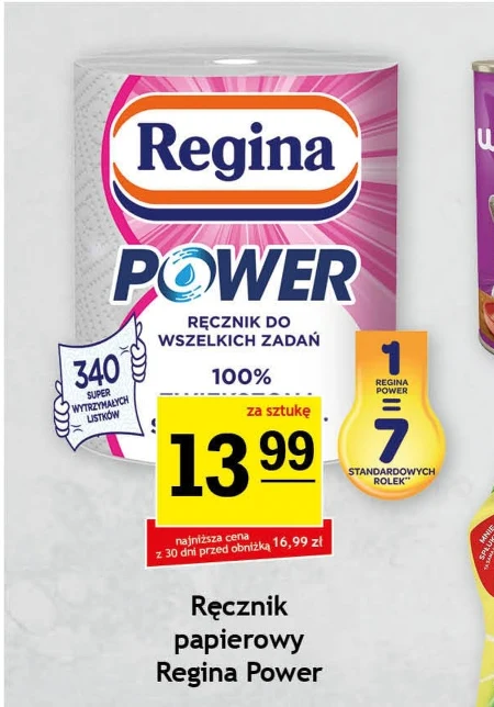 Regina Power Ręcznik do wszelkich zadań - promocja Gram Market - Ding.pl