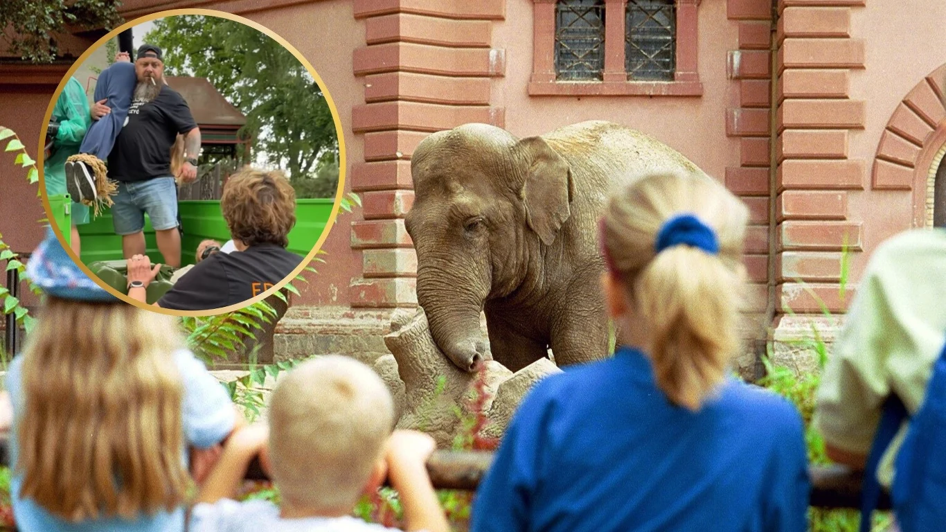 Zoo we Wrocławiu nagrało film, który stał się hitem internetu., Ładują ...