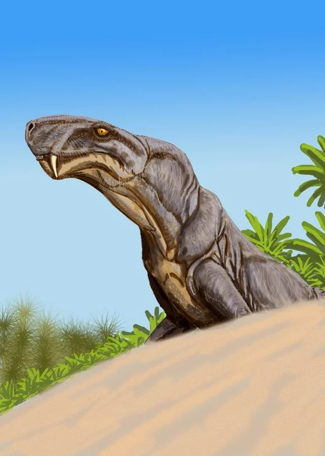 Novaculodon to nowy ssak odkryty w Anglii. Miał zęby jak brzytwy, lęgł ...