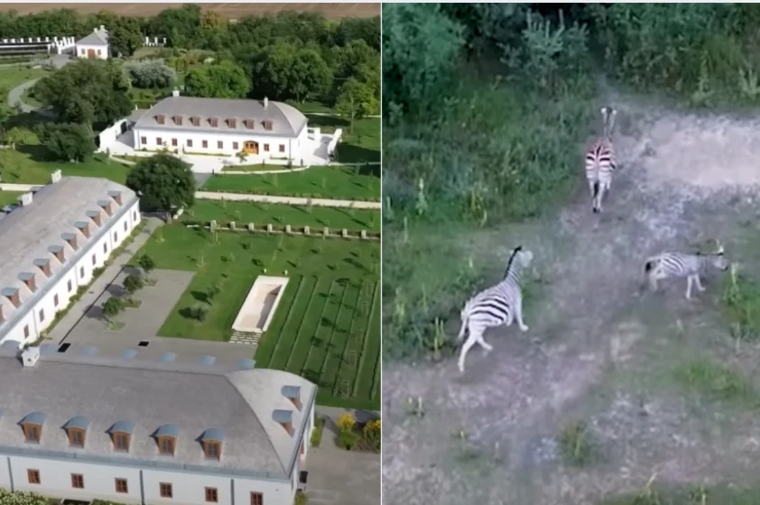 Węgry. Posiadłość rodziny Orbana nagrana z dron. Jest reakcja ...